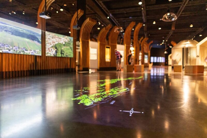 Visitor Trail of the Cité in Beaune - Experience Overview