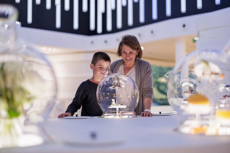 Visitor Trail of the Cité in Mâcon - Experience Highlights