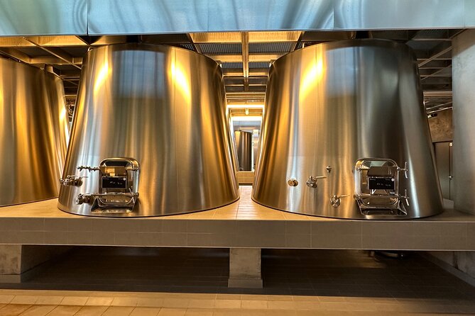 Visits and Tastings in the Médoc in Small Group with Meal - Key Points