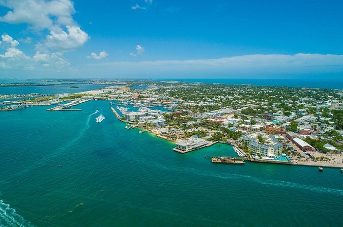 Vitamin Sea Dolphin Safari: Private Key West Charter - The Sum Up