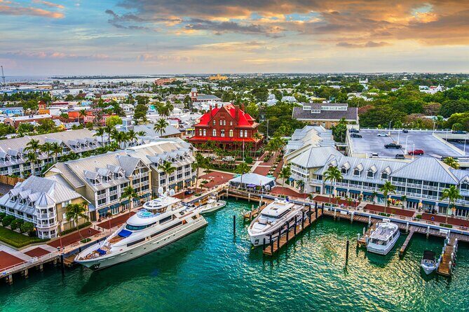 Vitamin Sea Dolphin Safari: Private Key West Charter - FAQs