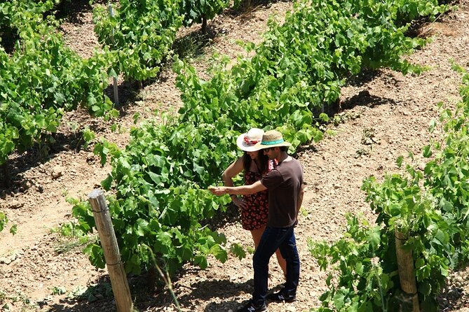 Viticulture and Wine-Tasting 3-Hour Trip From Barcelona - Meeting the Local Tour Guide