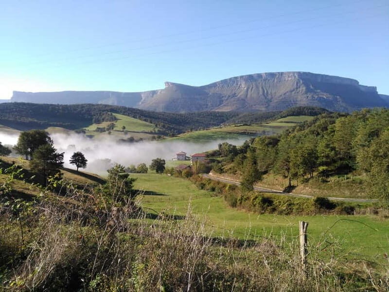 Vitoria, Añana Salt Valley and Bizkaia Bridge from Bilbao - What Do Travelers Say?