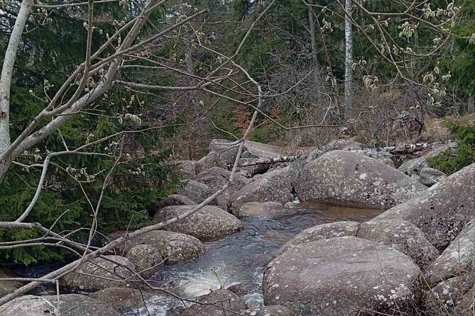 Vitosha Mountain- Heritage and Hiking- Private Day Trip - The National Museum of History