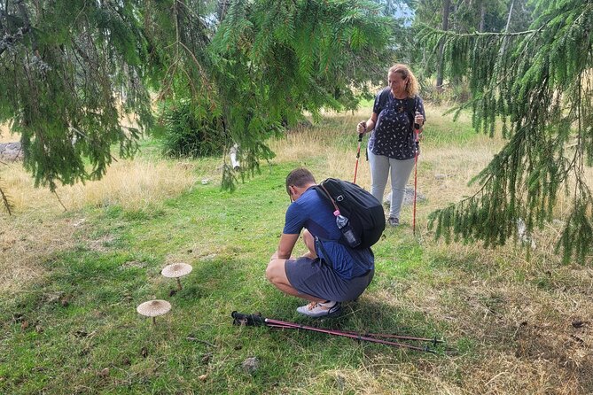 Vladeasa Peak and Brides Waterfall Day Hike - Meeting and Pickup