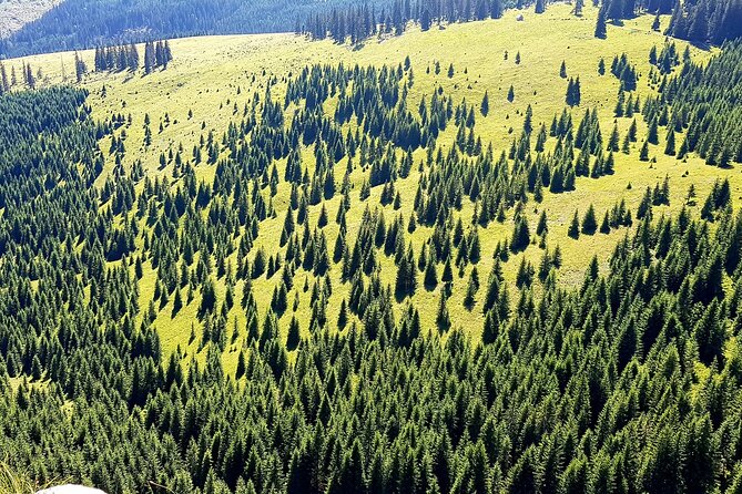 Vladeasa Peak and Brides Waterfall Day Hike - Traveler Reviews and Recommendations