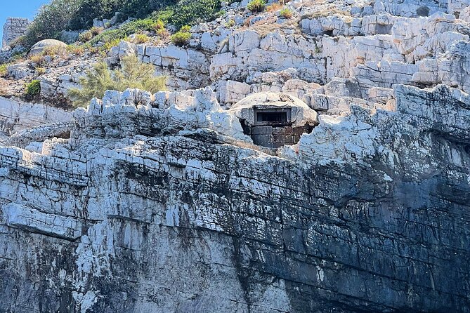 Vlore Speedboat Tour to National Marine Park Sazan-Karaburun - Practical Tips for Travelers