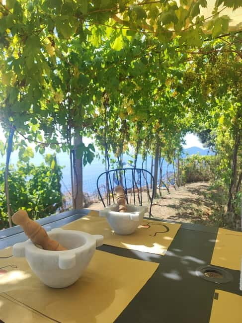 Volastra: BarCa Wine Tasting in Cinque Terre and Pesto Class - Exploring the Itinerary: A Deep Dive