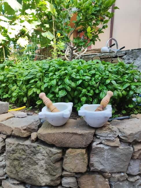 Volastra: BarCa Wine Tasting in Cinque Terre and Pesto Class - Considerations and Practical Tips