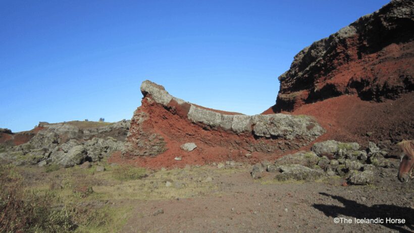 Volcanic Landscape Iceland Horse Riding Tours - An In-Depth Look at the Experience