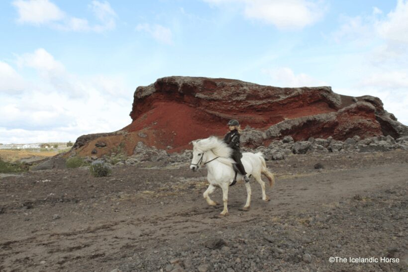 Volcanic Landscape Iceland Horse Riding Tours - Practical Details and Value
