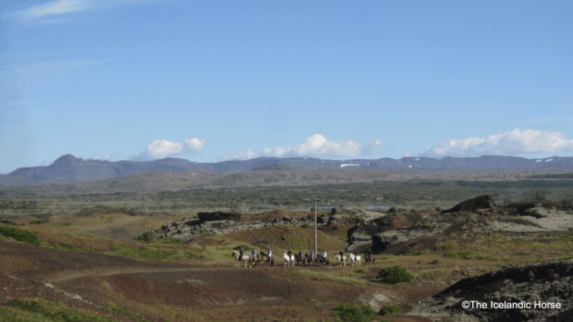 Volcanic Landscape Iceland Horse Riding Tours - Authentic and Well-Reviewed