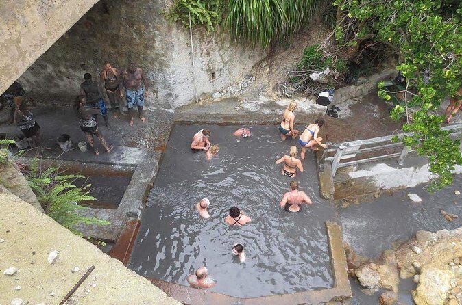 Volcanic Tour and Botanical Gardens - Who Should Consider This Tour