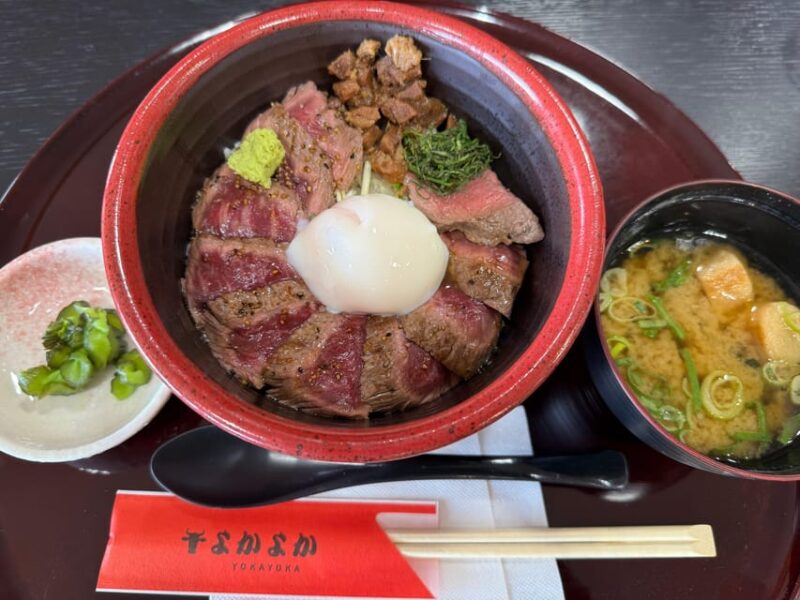 Volcanic Wonders: Private and Helicopter Tour to Mount Aso - Important Information and Restrictions