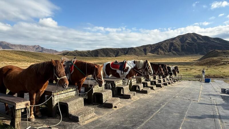 Volcanic Wonders: Private and Helicopter Tour to Mount Aso - Capturing the Breathtaking Aerial Views