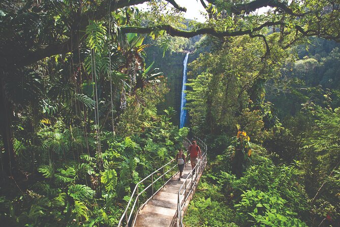 Volcano Adventure: Hilo Sightseeing w/ Optional Helicopter Tour - Who Is This Tour Best For?