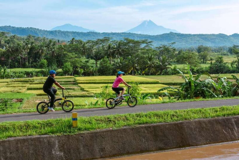 Volcano Bike Tour - What to Expect from the Volcano Bike Tour