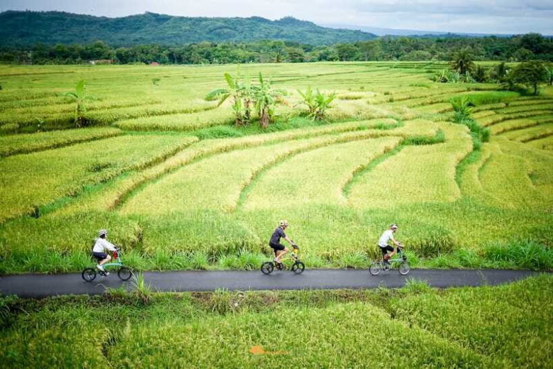 Volcano Bike Tour - What Travelers Say