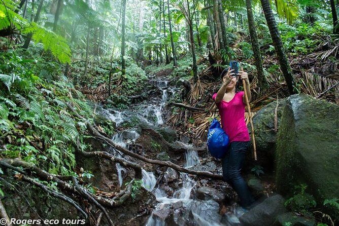 Volcano Caldera (Mt. Liamuiga) Trek / Hike - Key Points