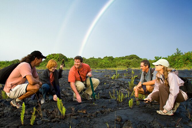 Volcano, Chocolate and Waterfalls of the Big Island - What’s Noteworthy About the Price and Value