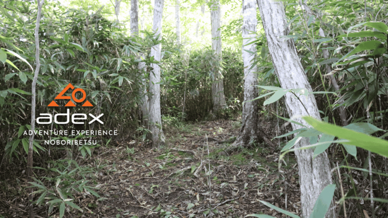 Volcano Hike With Pacific and Kuttara Lake Views - Breathtaking Photography at the Summit