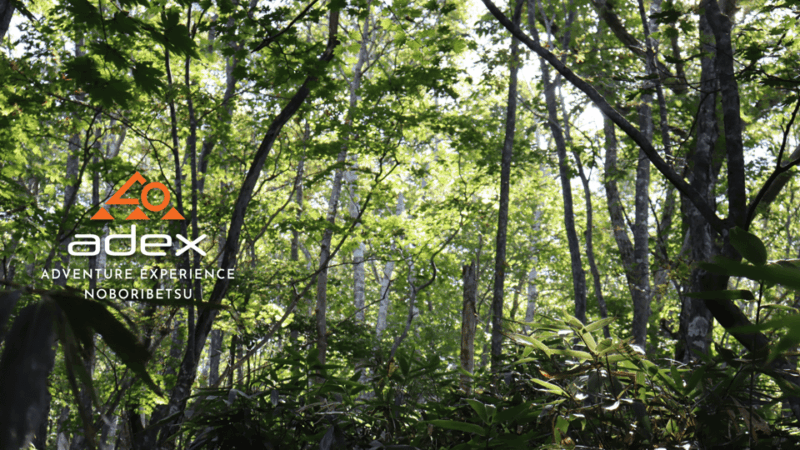 Volcano Hike With Pacific and Kuttara Lake Views - Exploring Kuttara Volcanos Geological Formation