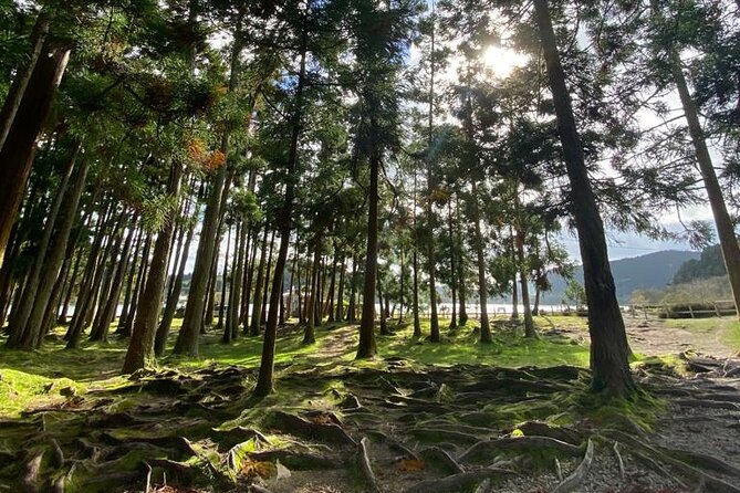 Volcano of Fogo and Furnas Private Tour - An In-Depth Look at the Tour Itself