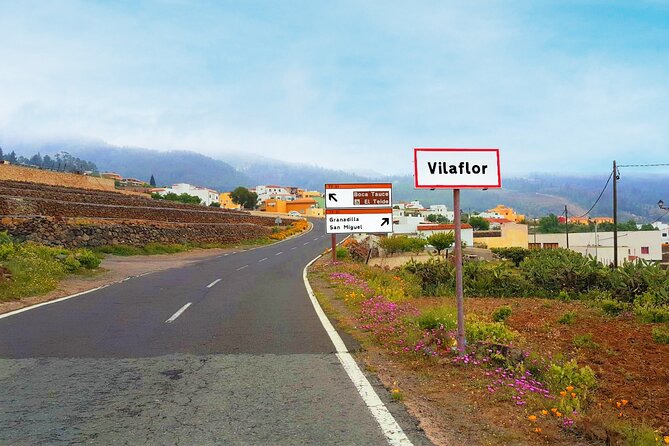 Volcano Teide - Masca Ravine. Guided Tour From Puerto De La Cruz - Tenerife - Customer Experiences and Feedback