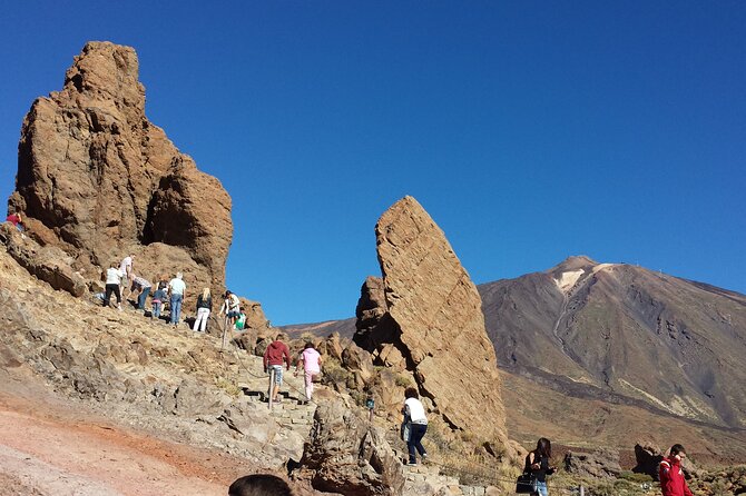Volcano Teide National Park Guided Tour from Puerto de la Cruz - Tenerife North - A Detailed Look at the Experience