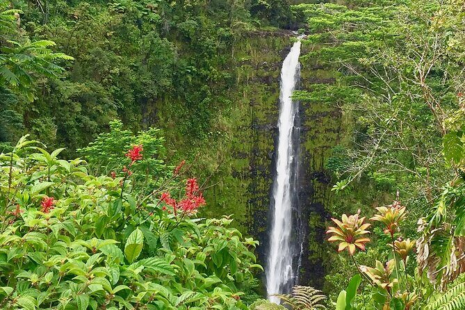 Volcanoes&Stargazing Exclusive Private Van Charter - Final Thoughts