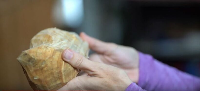 Volendam: 2-Hour Clogmaking Workshop and Cheese Tour - FAQ