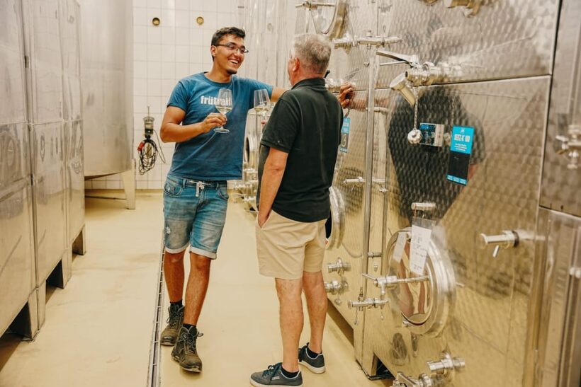 Volkach/Fahr: Wine Spirit Rebellion wine hike - The Experiences Value and Practical Details