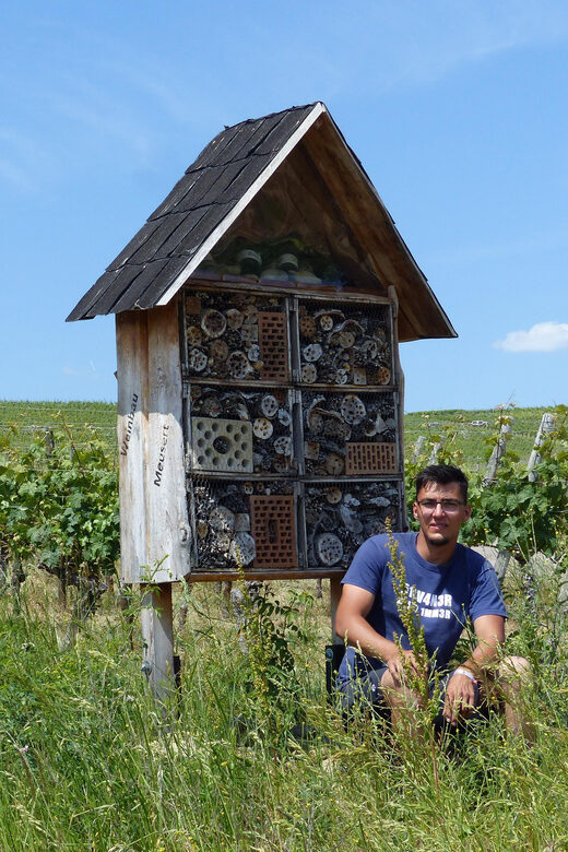 Volkach/Fahr: Wine Spirit Rebellion wine hike - Authentic Stories and the Guide’s Expertise