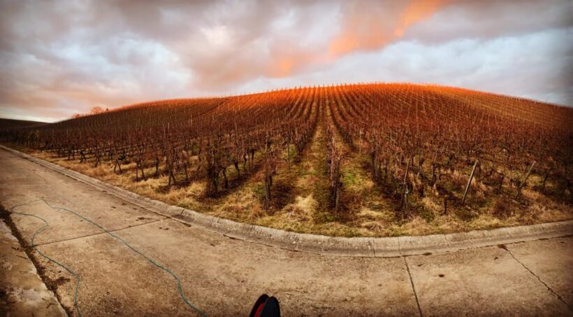 Volkach/Fahr: Wine Spirit Rebellion wine hike - The Verdict: Who Will Love This Tour?