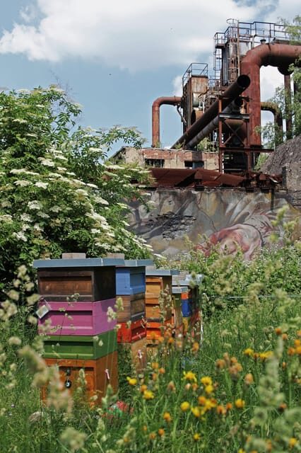 Völklingen: Völklingen Ironworks World Heritage Site Ticket - Frequently Asked Questions
