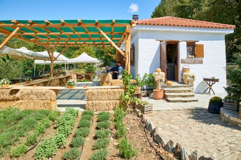 Volos: Cook Like a Local at a Greek Farm - A Closer Look at the Experience
