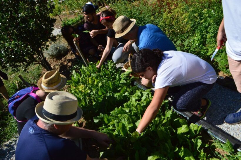 Volos: Cook Like a Local at a Greek Farm - Cooking with Local Secrets