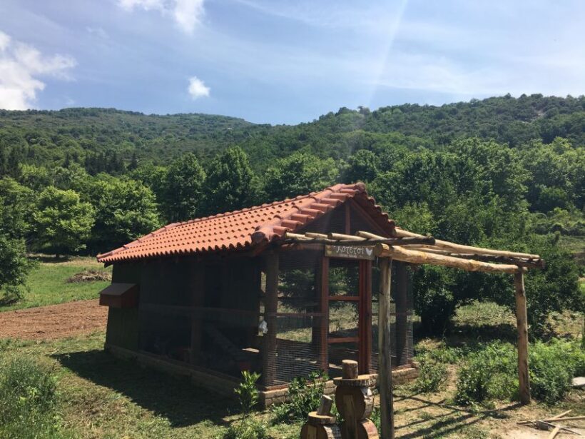 Volos: Cook Like a Local at a Greek Farm - Small Gifts and Memories