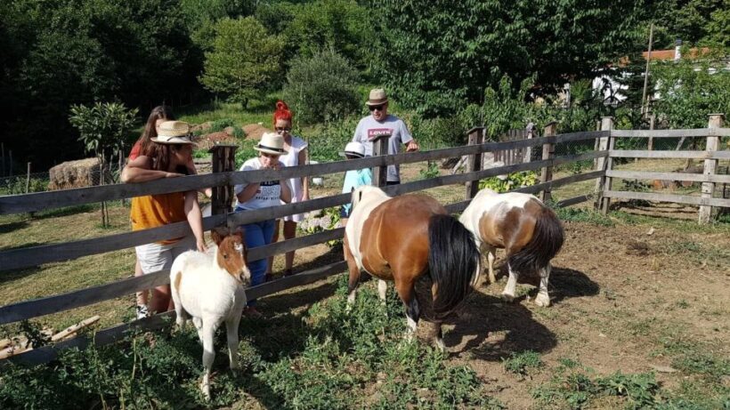 Volos: Cook Like a Local at a Greek Farm - The Real Value of This Tour