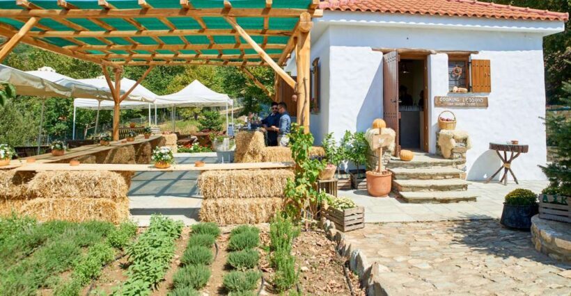 Volos: Cook Like a Local at a Greek Farm - Who Should Consider This Tour?