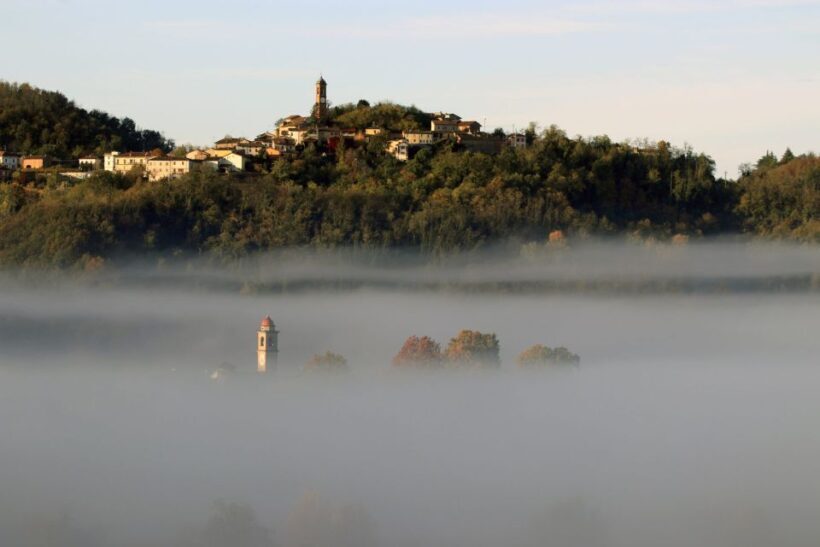 Volpedo: Piedmont Region Wine, Food, and Art E-Bike Day Tour - Who Should Consider This Tour?