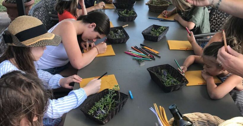 Volterra: Family-Friendly Herbal Laboratory Workshop - Key Points