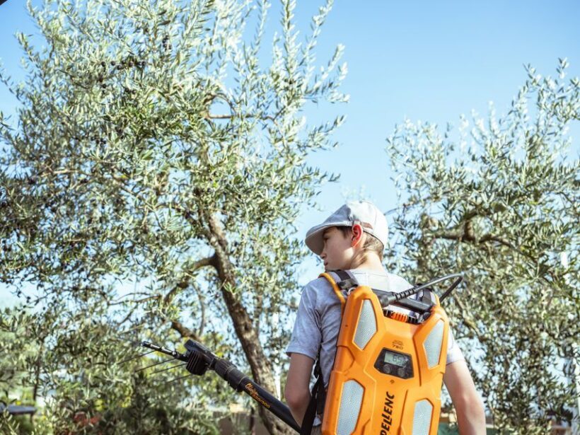 Volterra - Olive oil tasting with lunch or dinner - Key Points