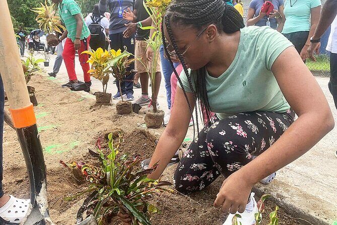 Volunteer at Schools During Vacation in St Lucia - Transportation and Logistics