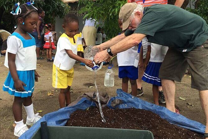 Volunteer at Schools During Vacation in St Lucia - What the Reviews Say (From Available Feedback)