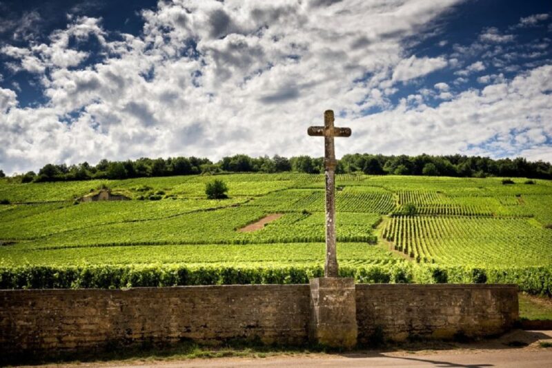 Vosne-Romanée: Private Vineyards Walking Tour with Tasting - Exploring Burgundy’s Vineyards: A Deep Dive into the Vosne-Romanée Private Walking Tour