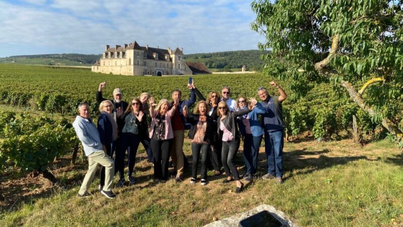 Vosne-Romanée: Private Vineyards Walking Tour with Tasting - An In-Depth Look at the Tour Experience