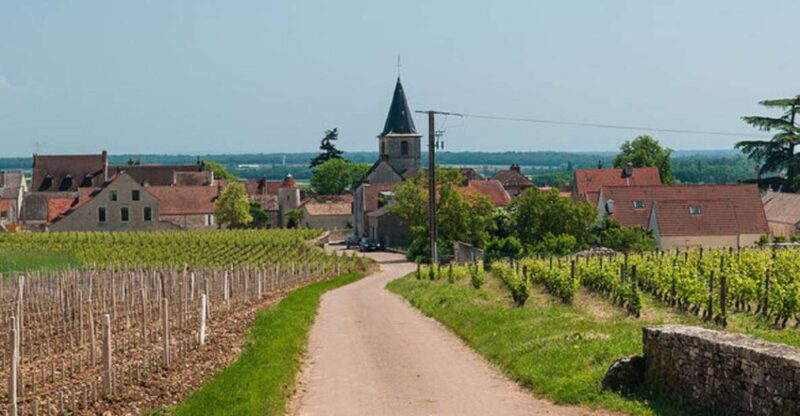 Vosne-Romanée: Private Vineyards Walking Tour with Tasting - Practical Details and Tips