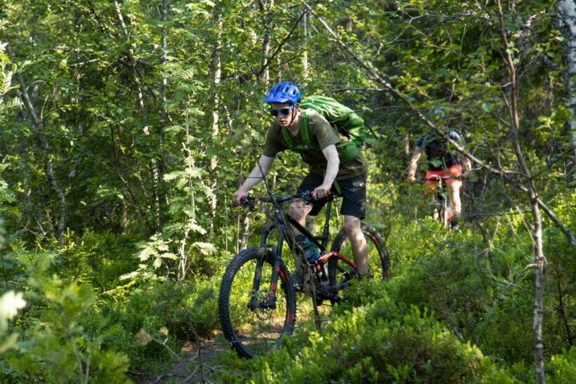 Voss - Mountain Bike  Bømoem Forest - Why This Tour Represents Good Value