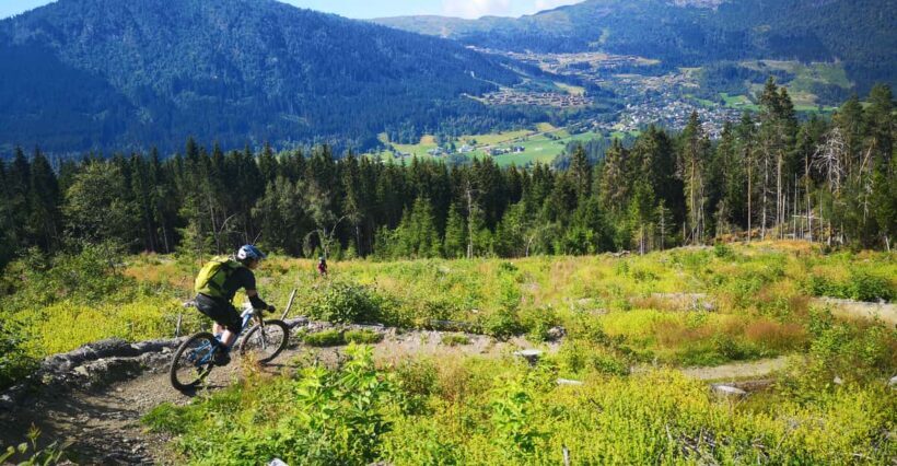 Voss - Mountain Bike  Bømoem Forest - Who Should Consider This Tour?